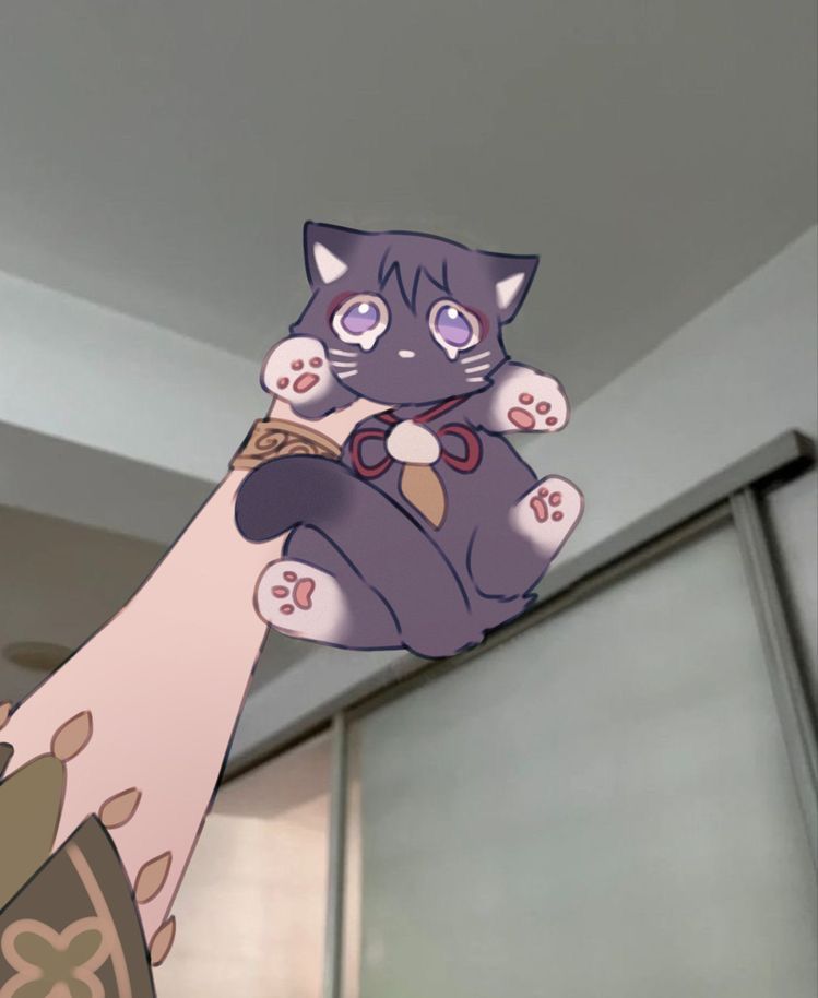 KITTY SCARA ☺️🫶 Genshin Impact | HoYoLAB