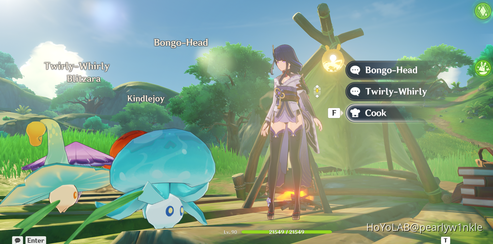 NOPE DON'T YOU DARE TO COOK THOSE ADORABLE CREATURES RAIDEN SHOGUN ...