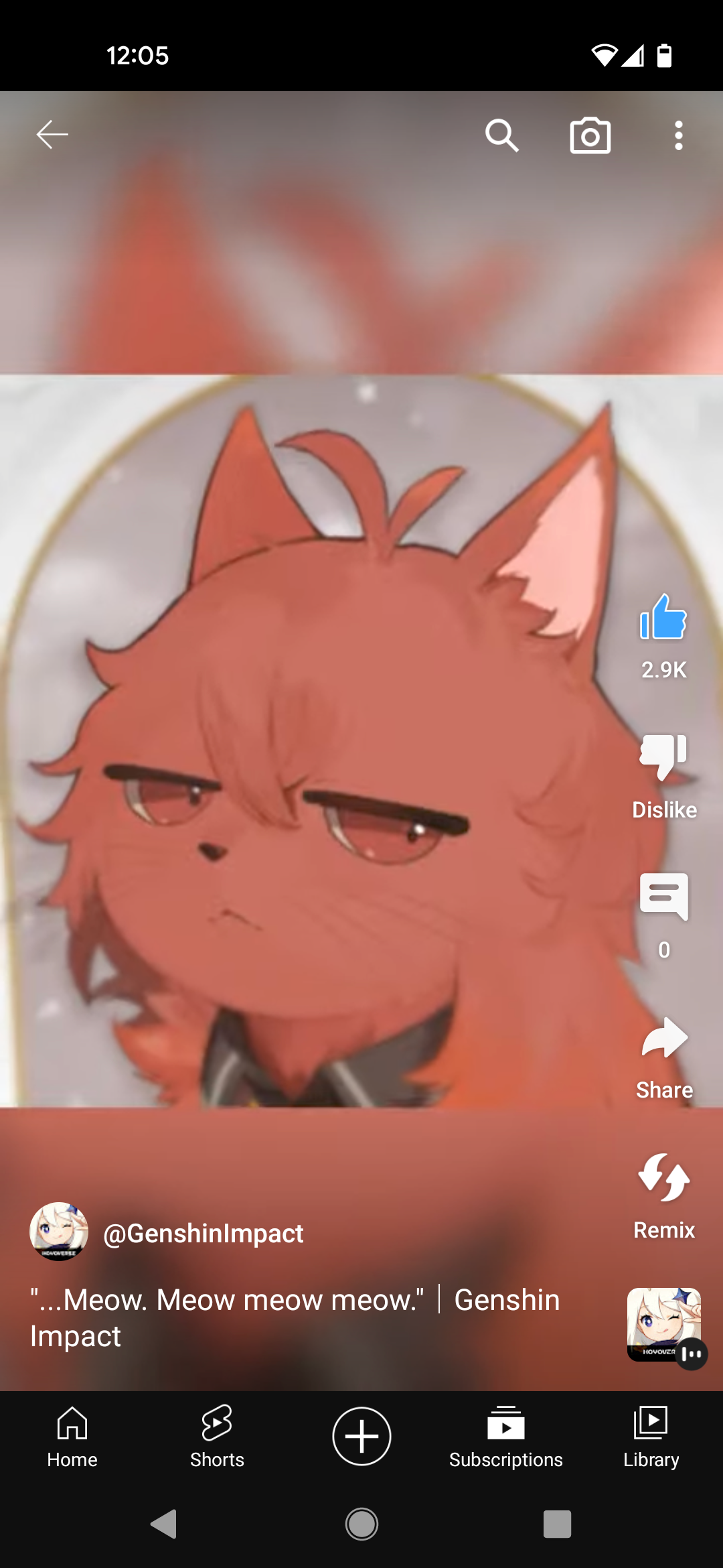please enjoy grumpy cat Diluc in all his adorable glory Genshin Impact ...