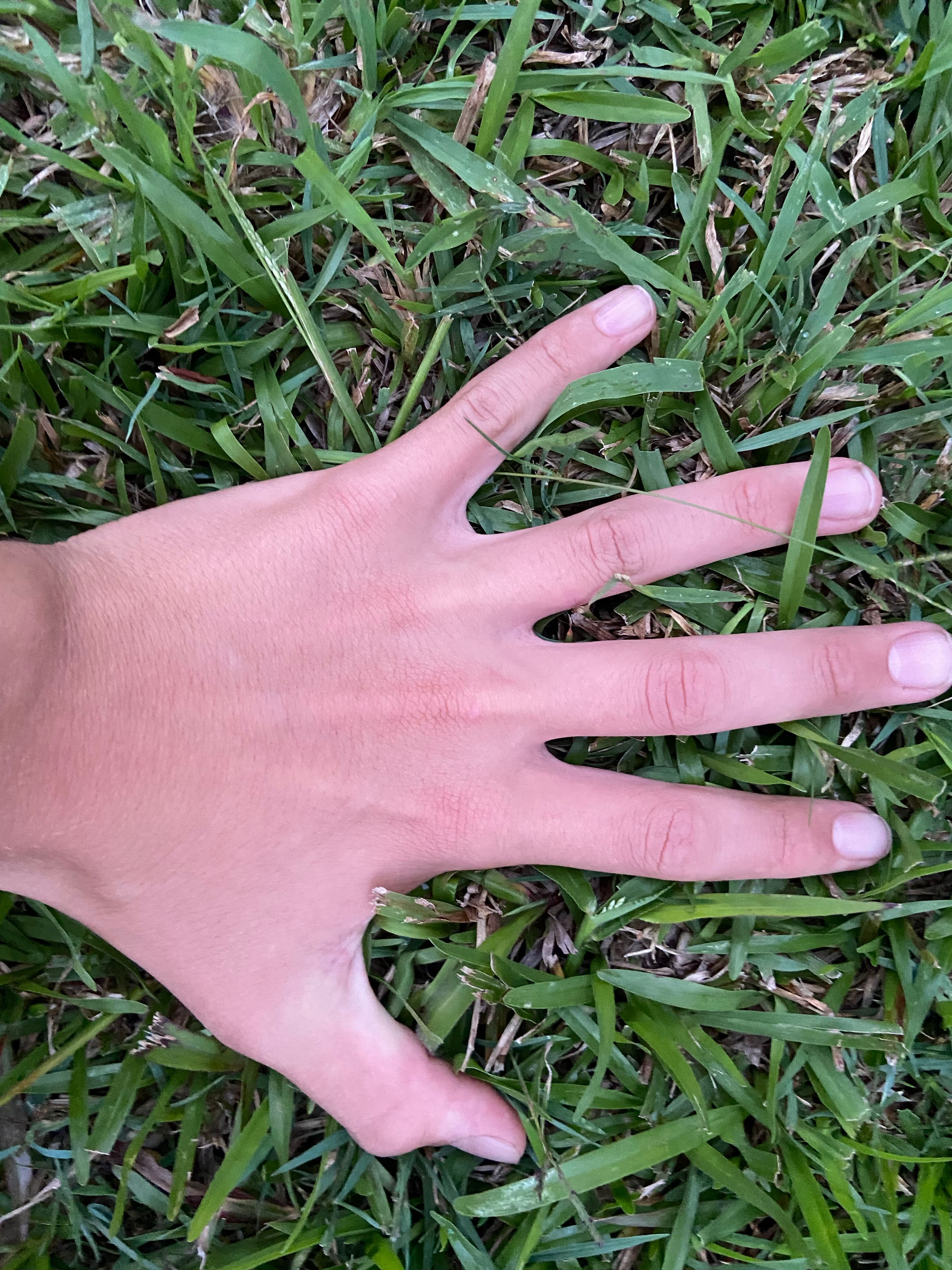 More Grass touching | HoYoLAB