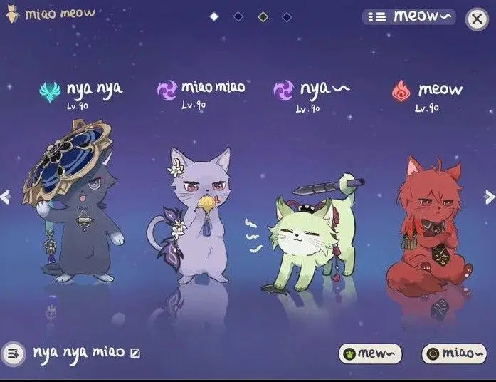 meow team