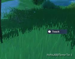 I'm touching grass Genshin Impact | HoYoLAB