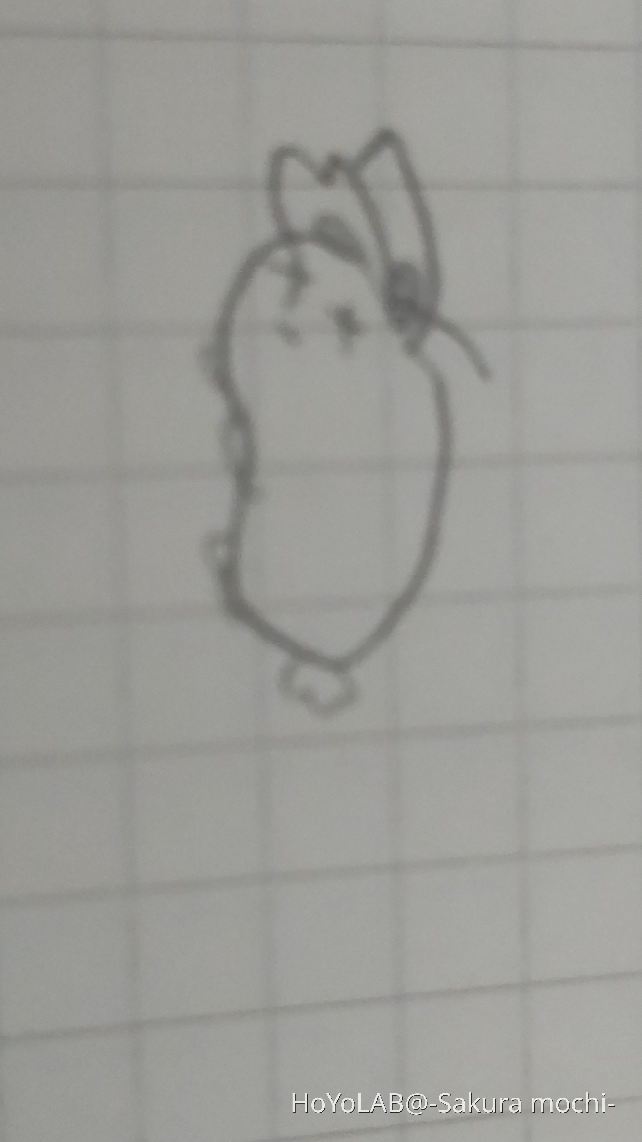 nothing to do with genshin but I drew Sakura Miku with a ded rabbit ...