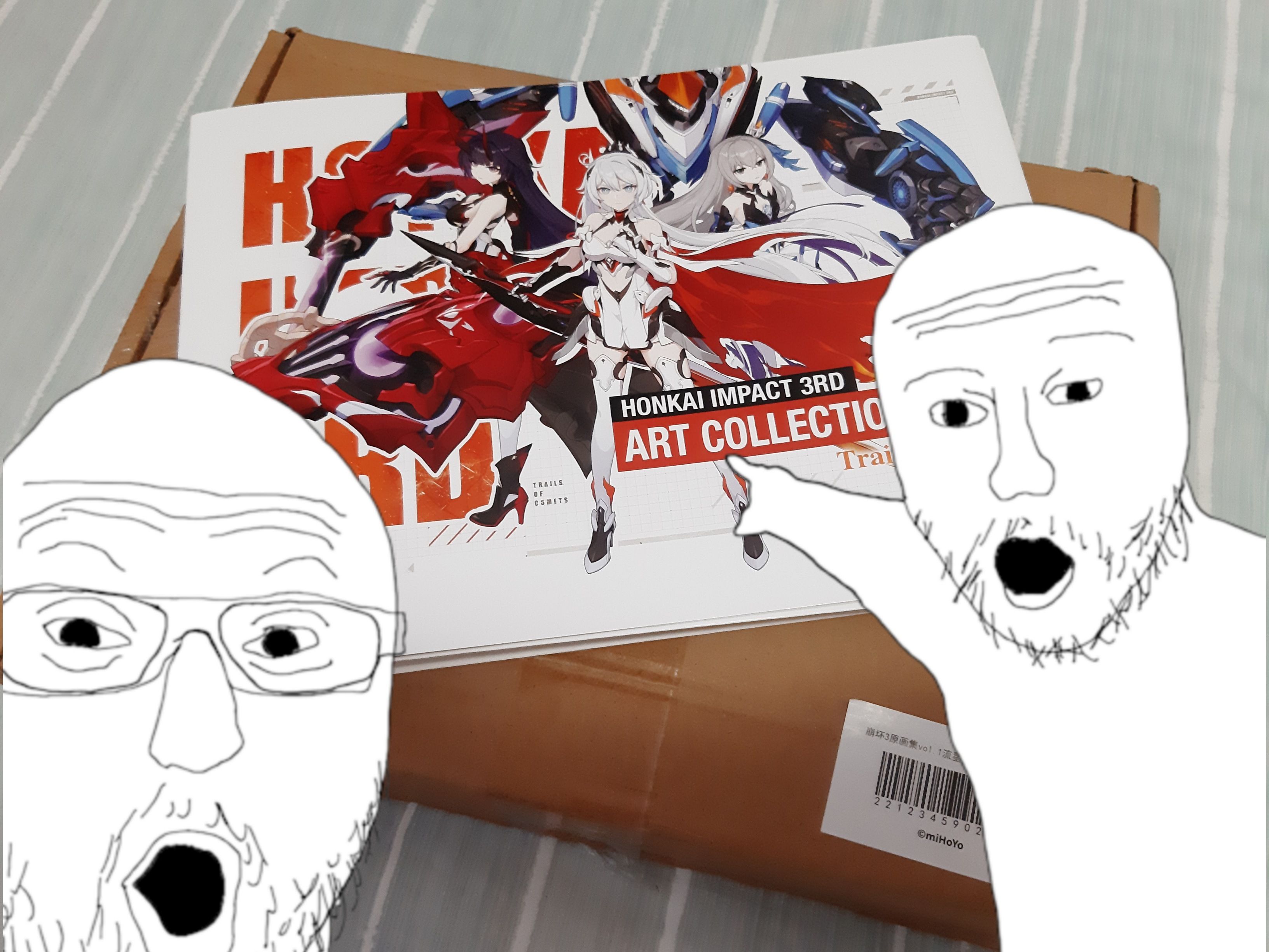 I finally received the HI3 Vol.1 Art Collection! Honkai Impact 3rd ...