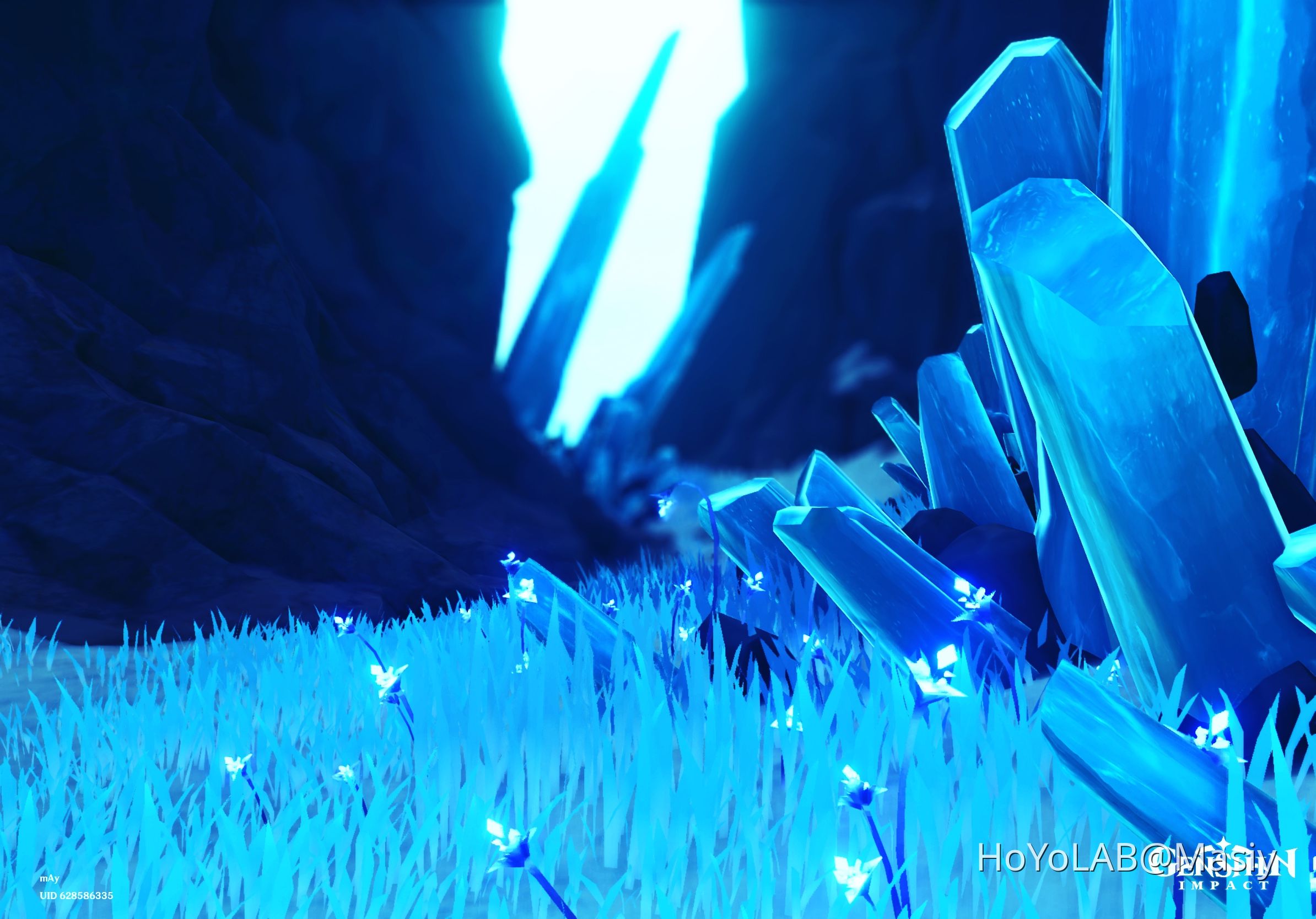 Gem flowers Genshin Impact | HoYoLAB