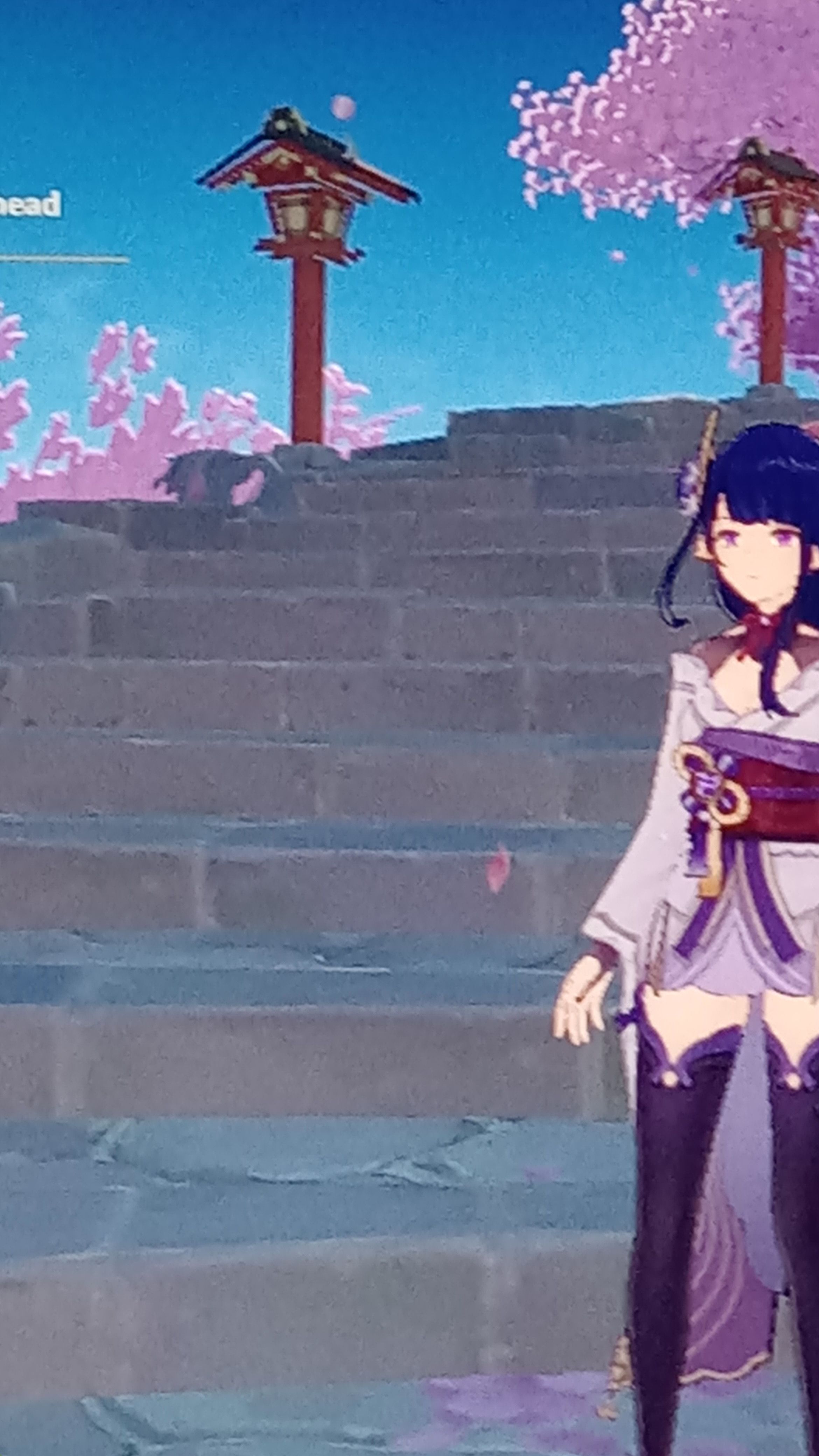 climbing here gave me yae sakura's shrine vibes ngl.. without the ...