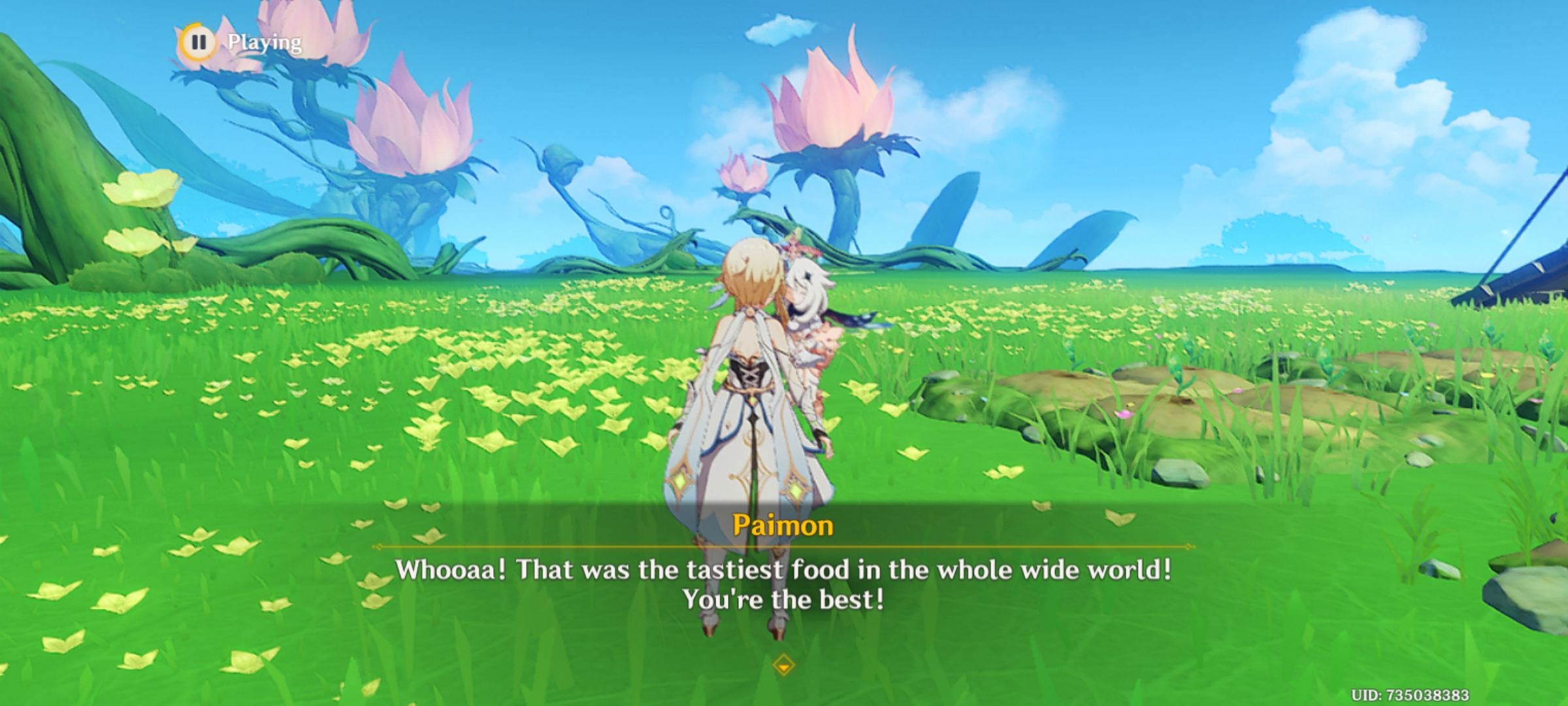 Pimon is so cutee Genshin Impact | HoYoLAB