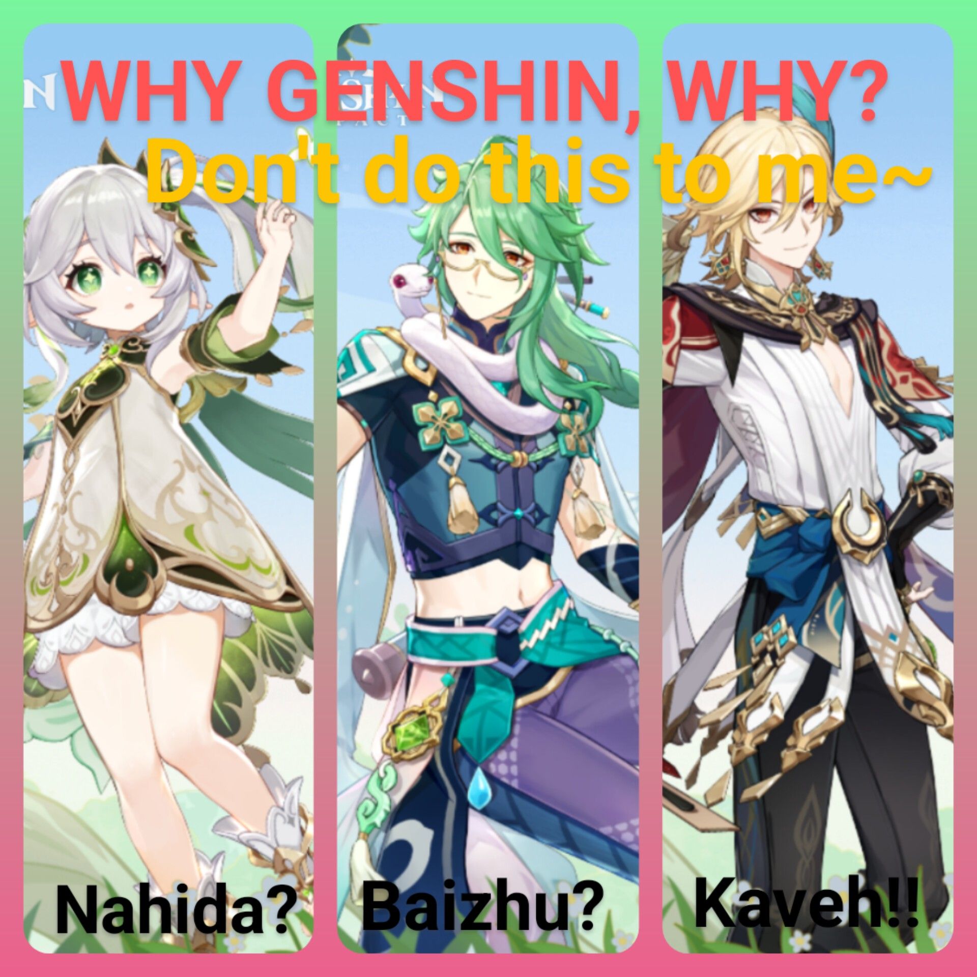 v3.6 Character Banner Review - Kaveh! Genshin Impact | HoYoLAB