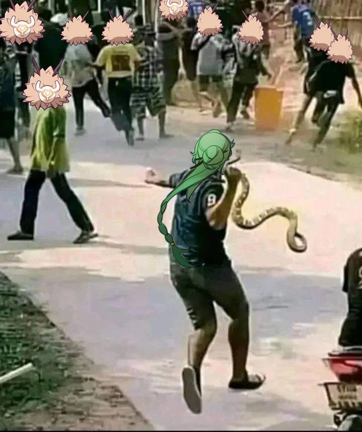 changsheng go.. Genshin Impact | HoYoLAB