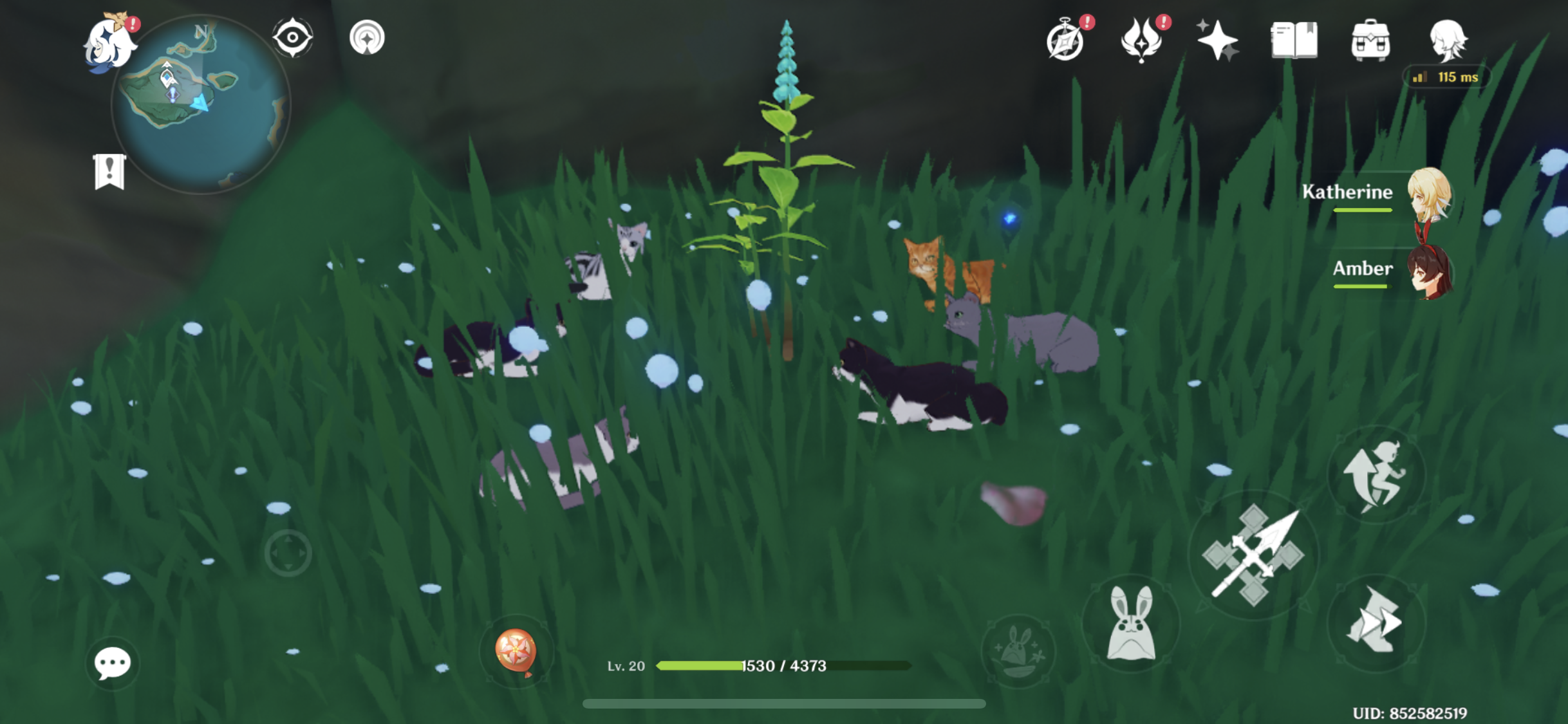 Cat ritual place be like Genshin Impact | HoYoLAB