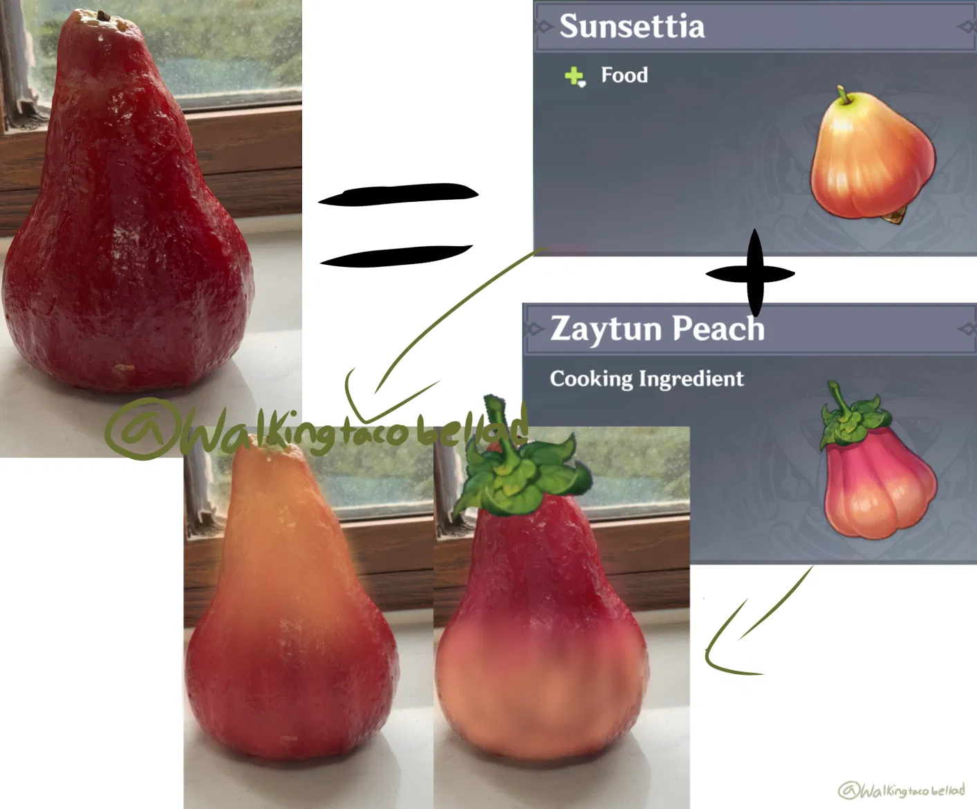 IRL SUNSETTIA AND ZAYTUN PEACH?! Genshin Impact | HoYoLAB