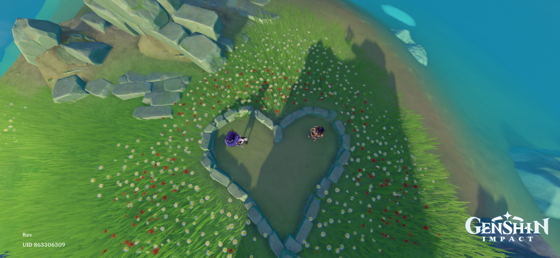Heart Rock Genshin Impact | HoYoLAB