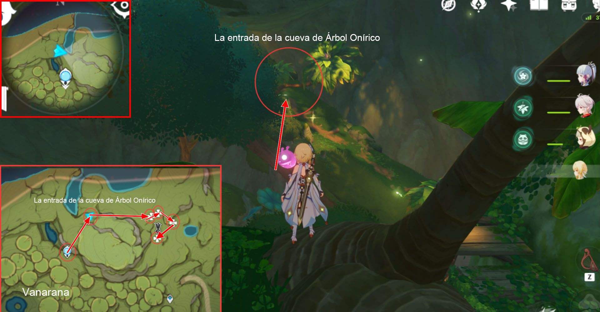 Guía para farmear orquídea padishá que hasta Paimon puede entender ...