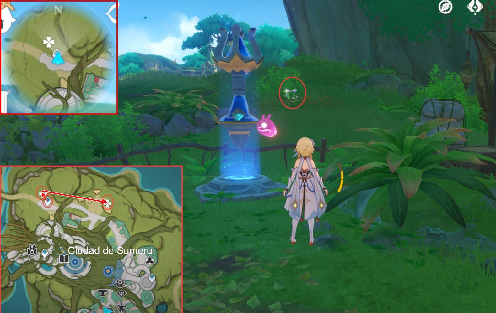 Guía para farmear orquídea padishá que hasta Paimon puede entender ...