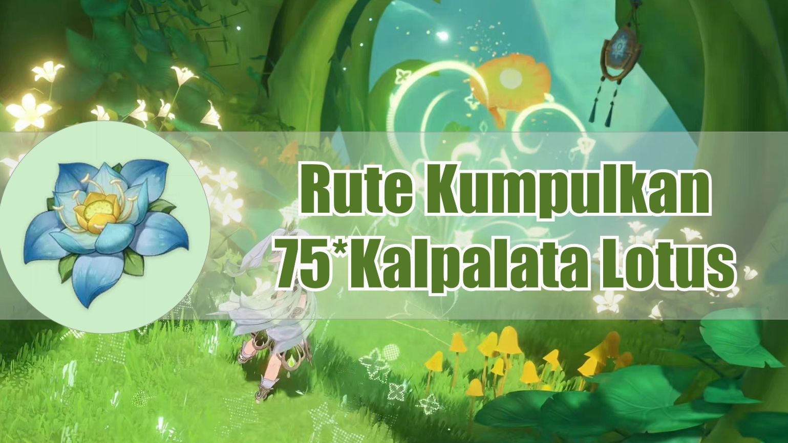 Rute Kumpulkan 75*Kalpalata Lotus Genshin Impact | HoYoLAB