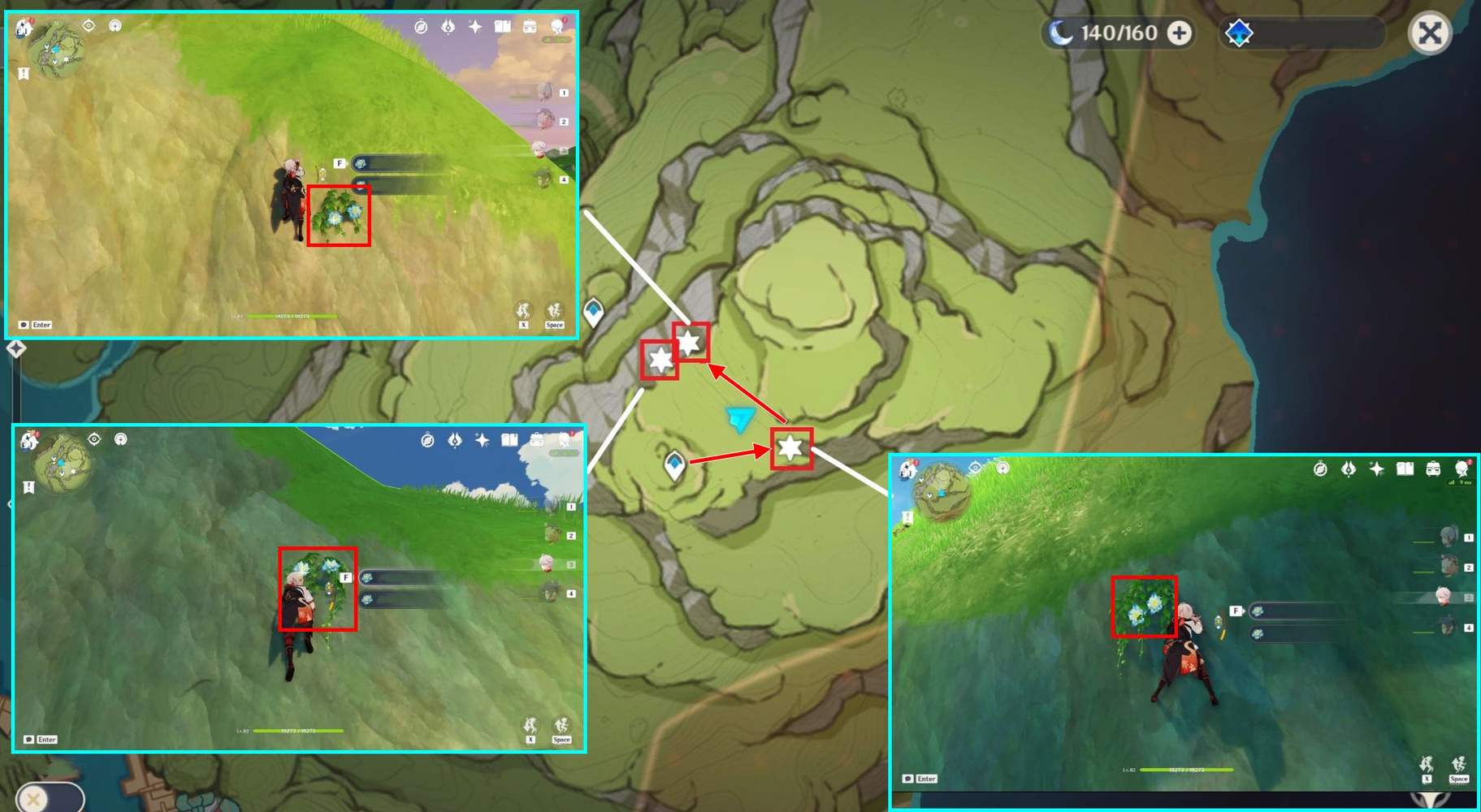 Rute Kumpulkan 75*Kalpalata Lotus Genshin Impact | HoYoLAB