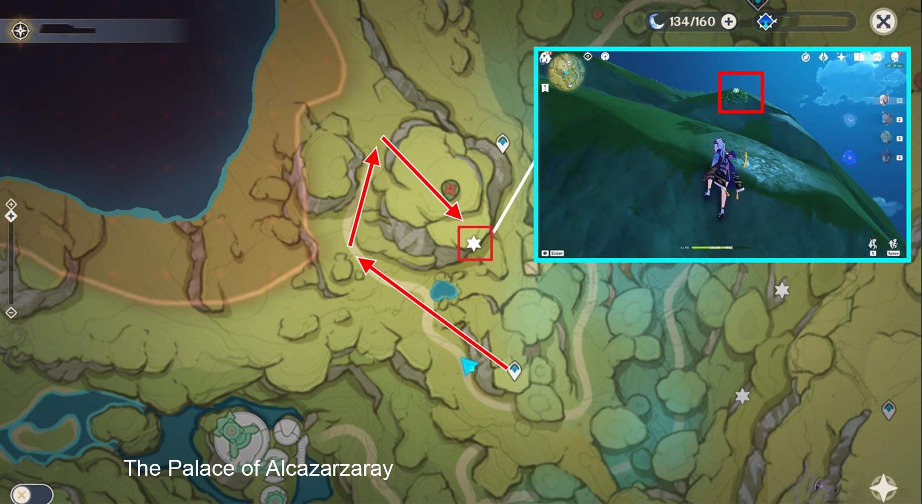 Rute Kumpulkan 75*Kalpalata Lotus Genshin Impact | HoYoLAB