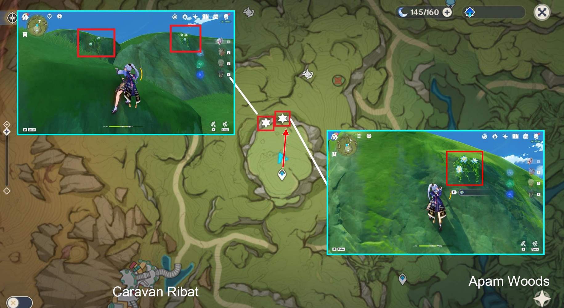 Rute Kumpulkan 75*Kalpalata Lotus Genshin Impact | HoYoLAB
