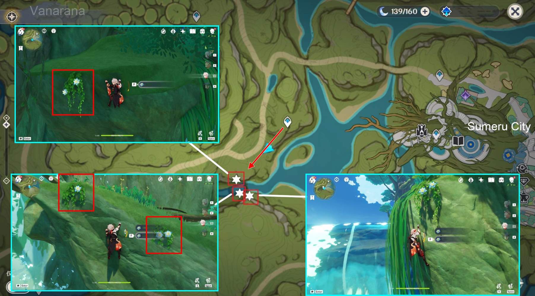 Rute Kumpulkan 75*Kalpalata Lotus Genshin Impact | HoYoLAB