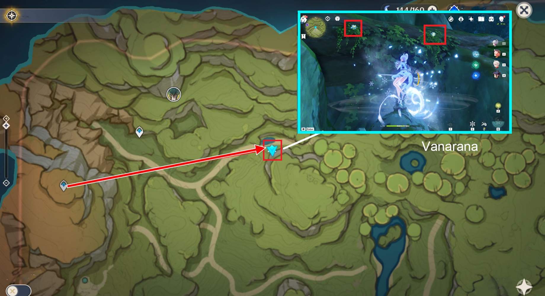 Rute Kumpulkan 75*Kalpalata Lotus Genshin Impact | HoYoLAB