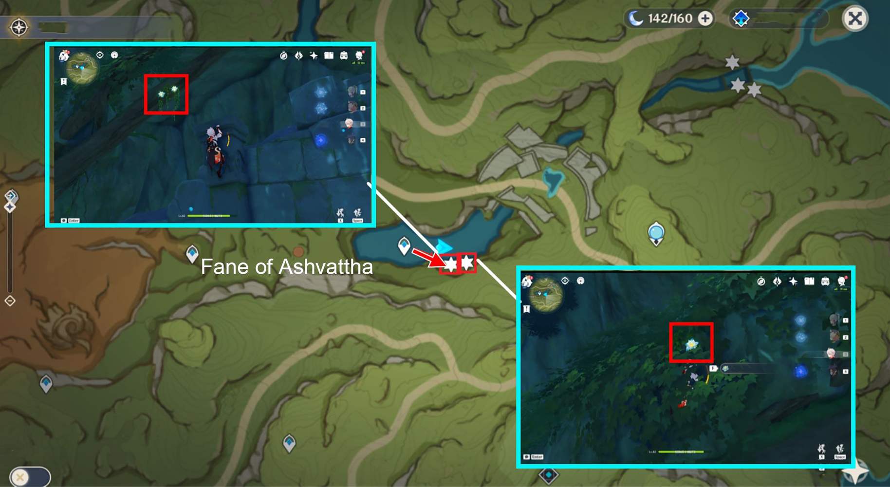 Rute Kumpulkan 75*Kalpalata Lotus Genshin Impact | HoYoLAB