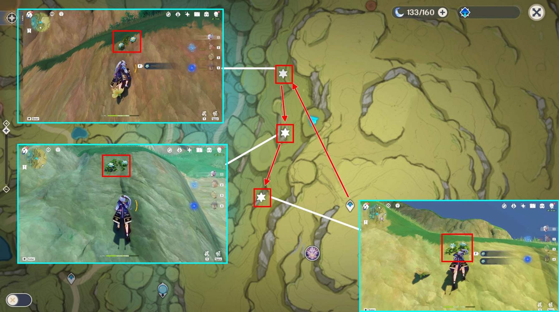 Rute Kumpulkan 75*Kalpalata Lotus Genshin Impact | HoYoLAB
