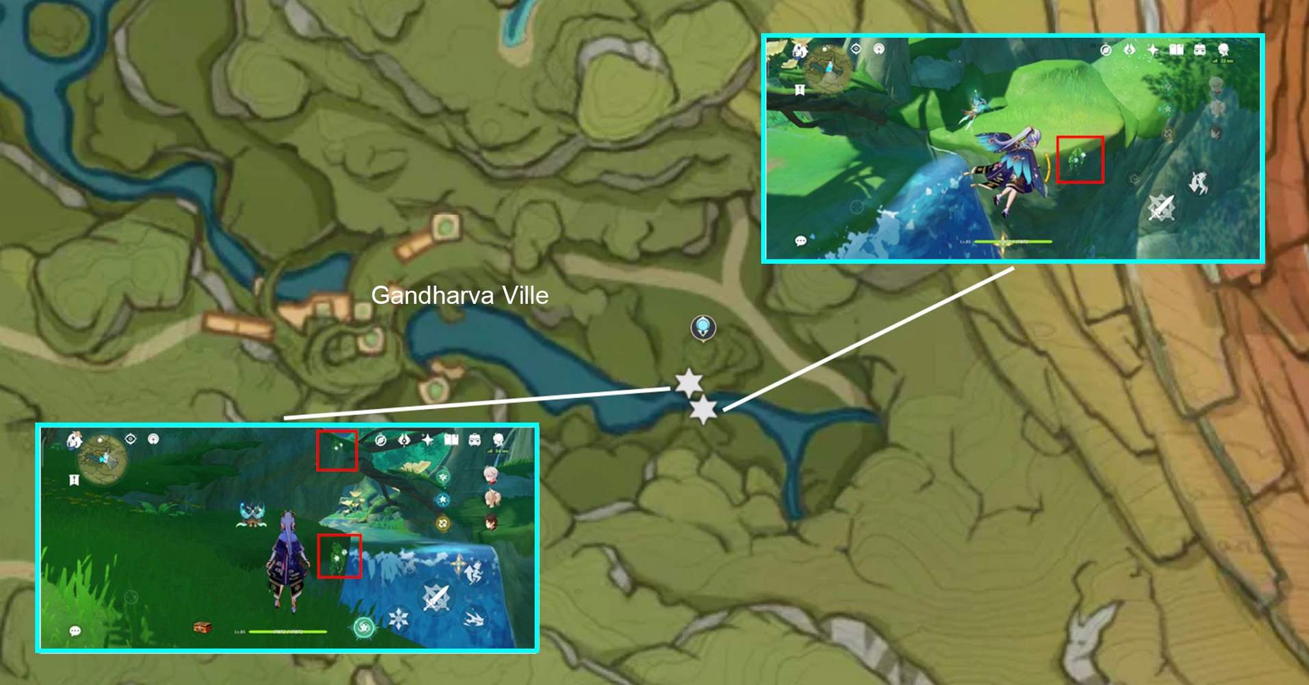 Rute Kumpulkan 75*Kalpalata Lotus Genshin Impact | HoYoLAB