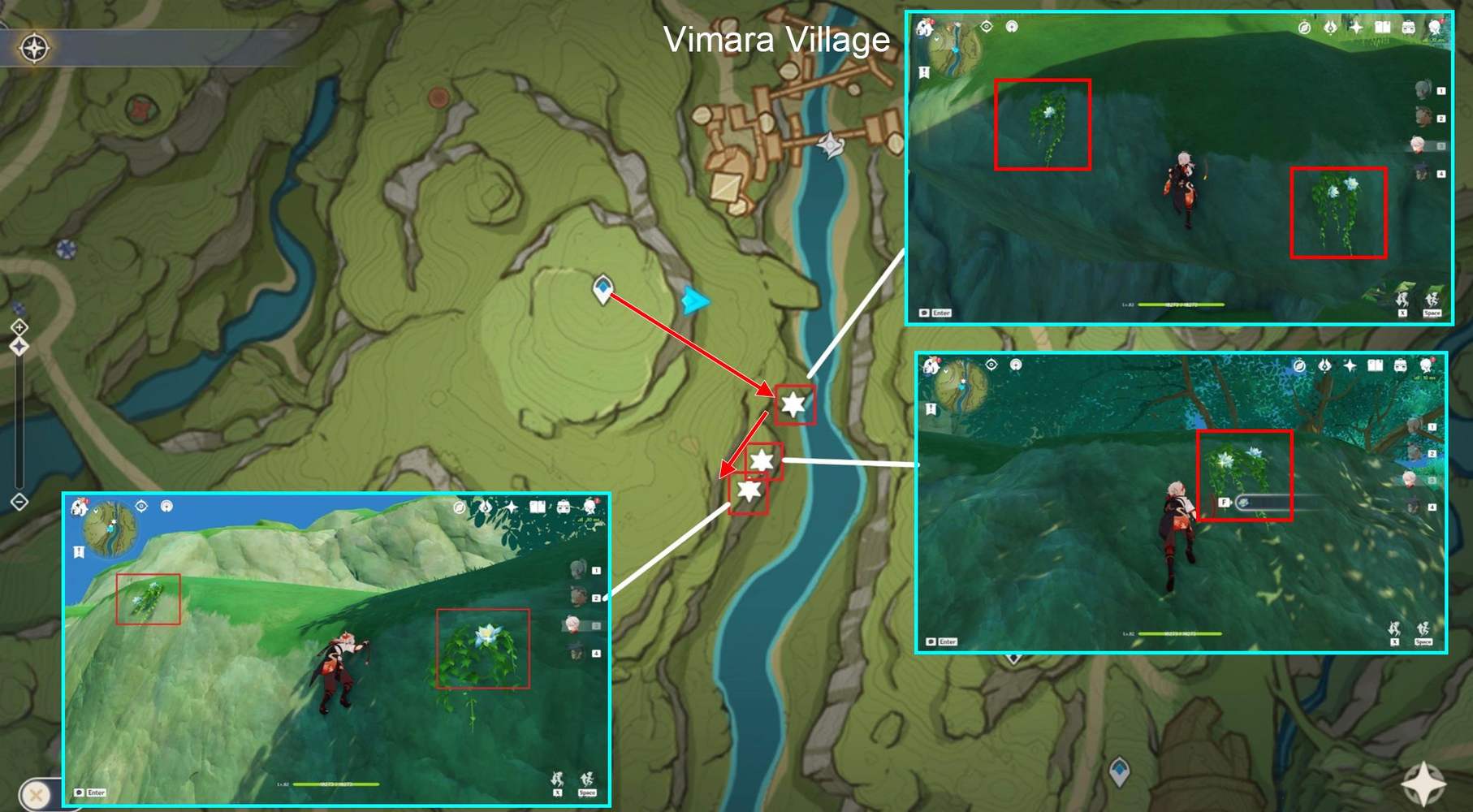Rute Kumpulkan 75*Kalpalata Lotus Genshin Impact | HoYoLAB