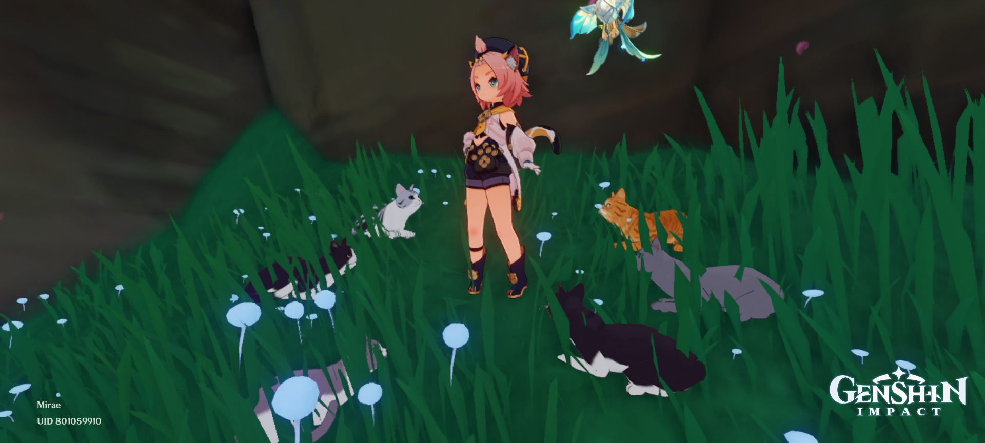 Meow Meow! Genshin Impact | HoYoLAB
