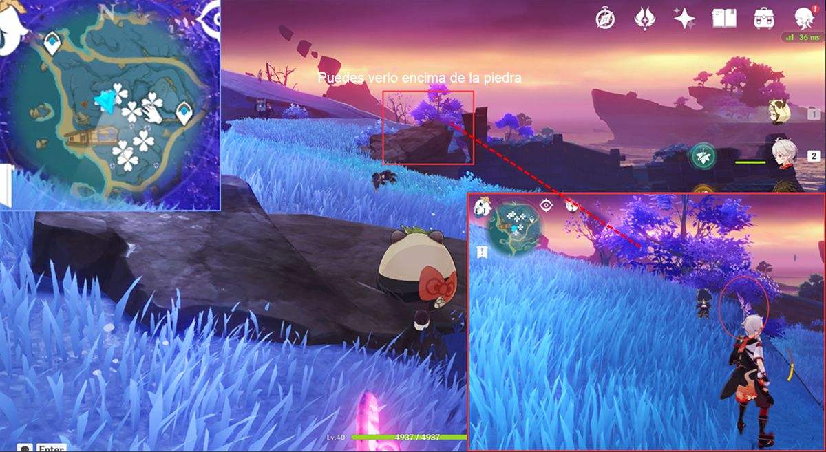 Guía de Rutas para Recolección de Percibetormentas (Total de 77 ...