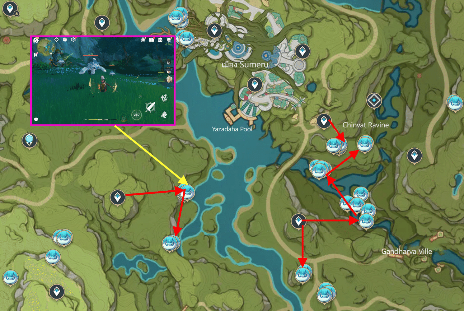 เส้นทางการฟาร์ม—— Fungus*360 Genshin Impact | HoYoLAB