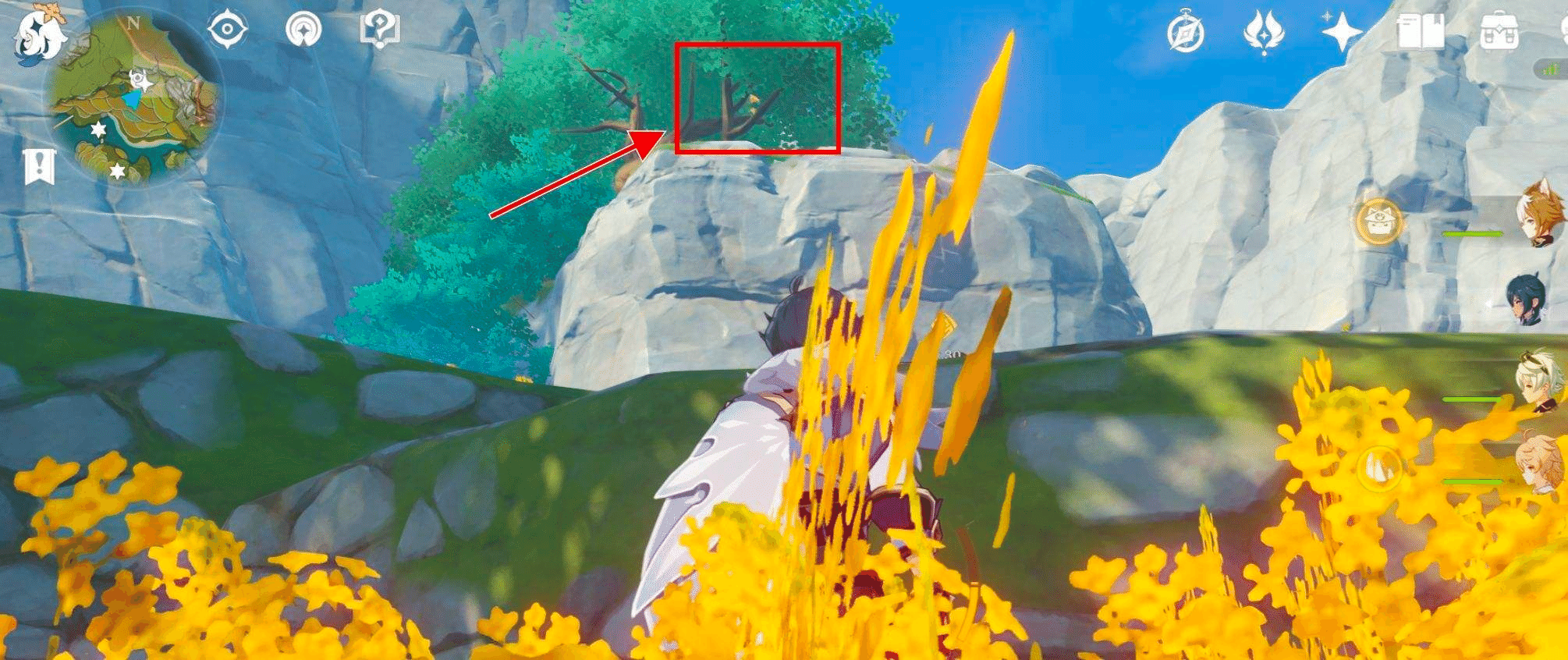 Recogida completa de Geóculus (I/VII) - Aldea Chingtsé & Colina Wuwang ...