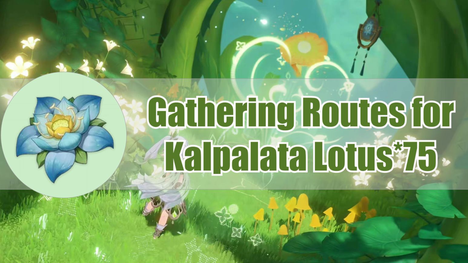 Gathering Routes for Kalpalata Lotus*75 Genshin Impact | HoYoLAB