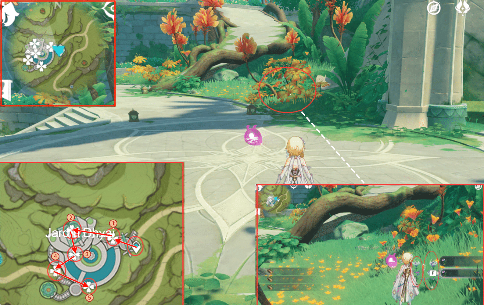 Guía para farmear orquídea padishá que hasta Paimon puede entender ...