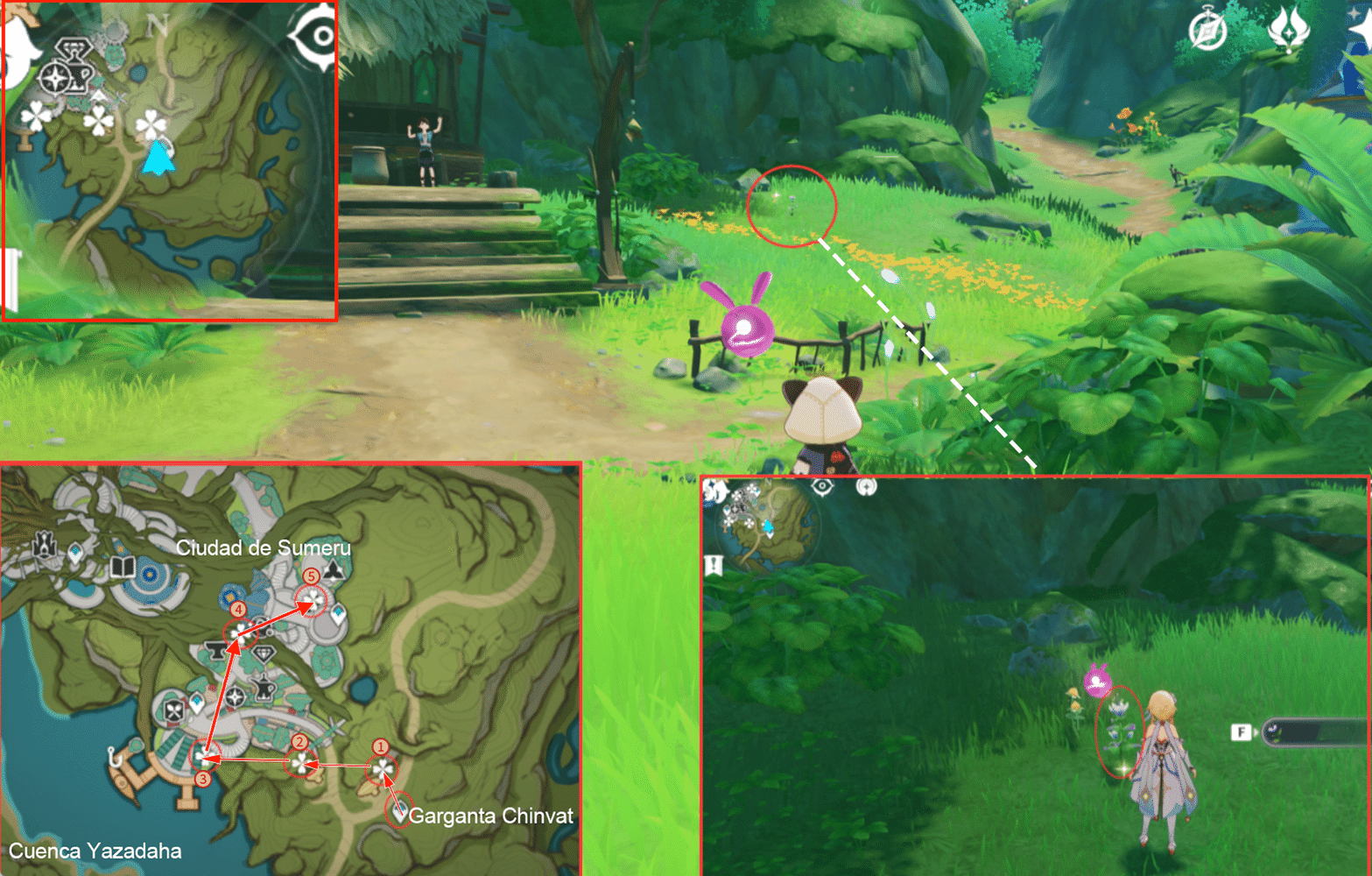 Guía para farmear orquídea padishá que hasta Paimon puede entender ...