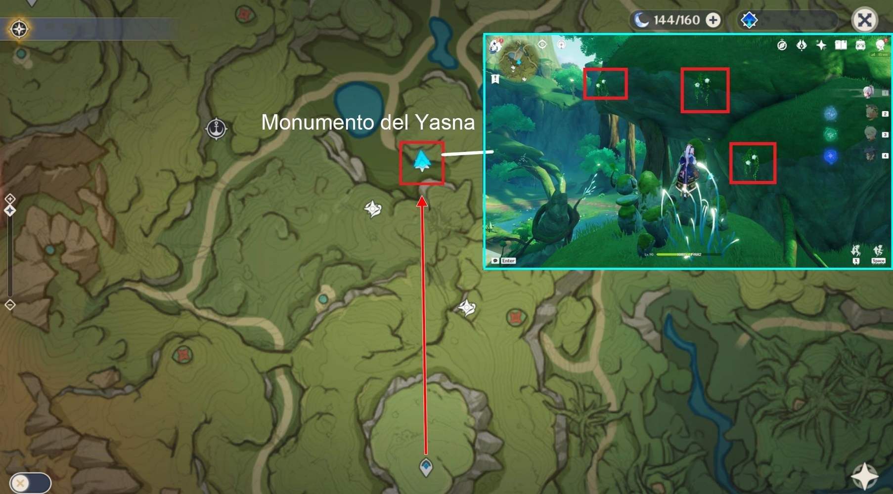 Rutas para farmear loto kalpa*75 Genshin Impact | HoYoLAB