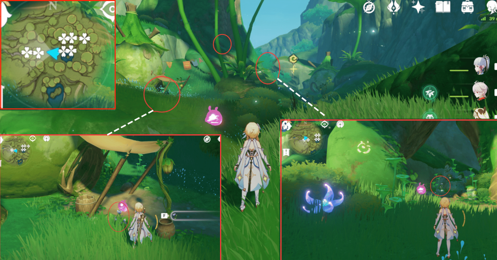 Guía para farmear orquídea padishá que hasta Paimon puede entender ...