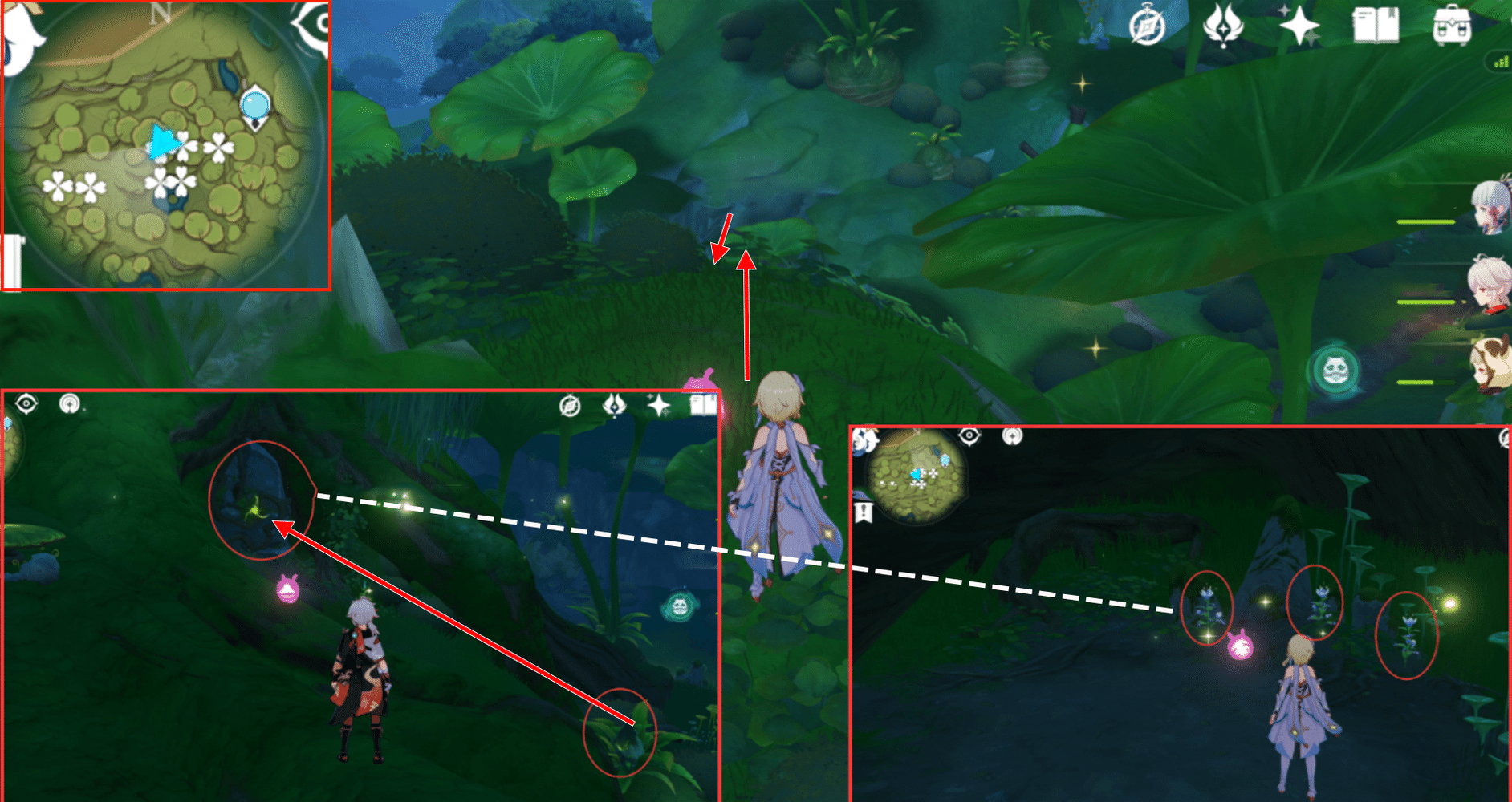 Guía para farmear orquídea padishá que hasta Paimon puede entender ...