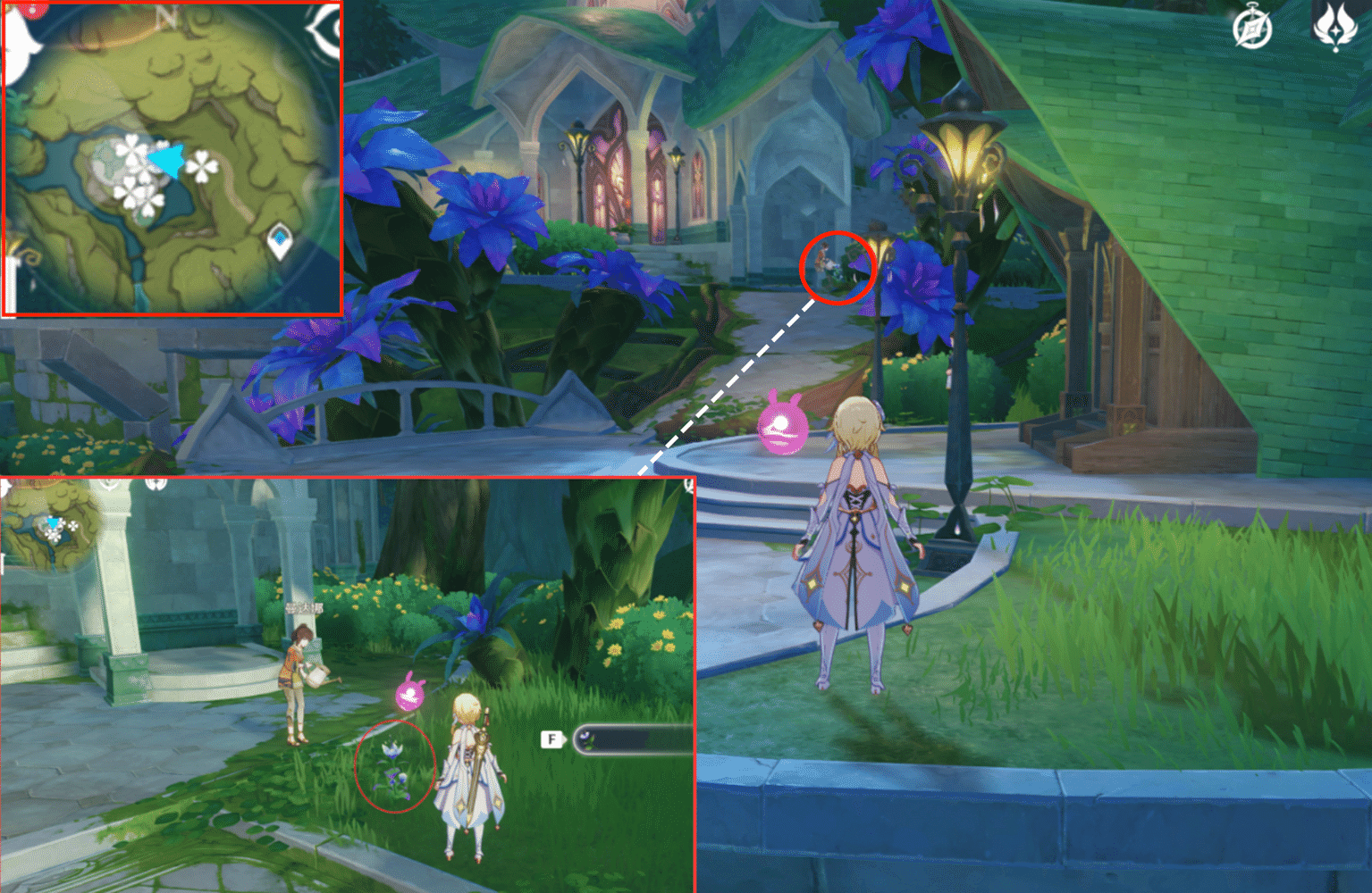 Guía para farmear orquídea padishá que hasta Paimon puede entender ...