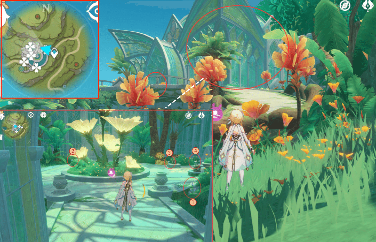 Guía para farmear orquídea padishá que hasta Paimon puede entender ...