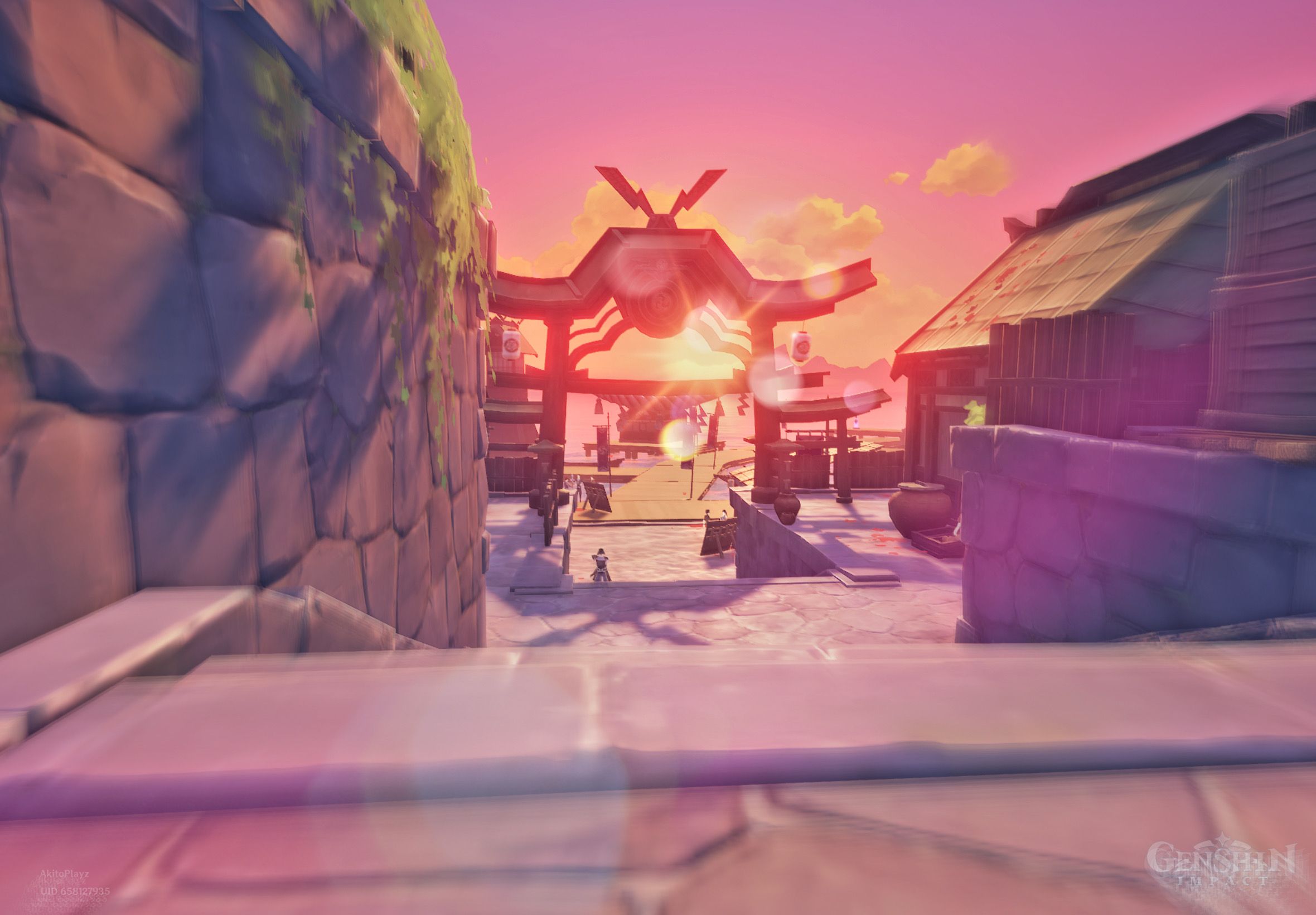 Welcome to Inazuma: Ritou Genshin Impact | HoYoLAB