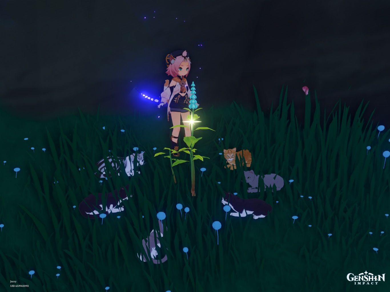 cat summoning circle Genshin Impact | HoYoLAB