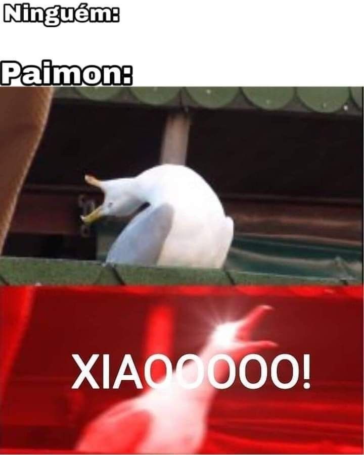 Uns meme veio que achei mo pinterest Genshin Impact | HoYoLAB