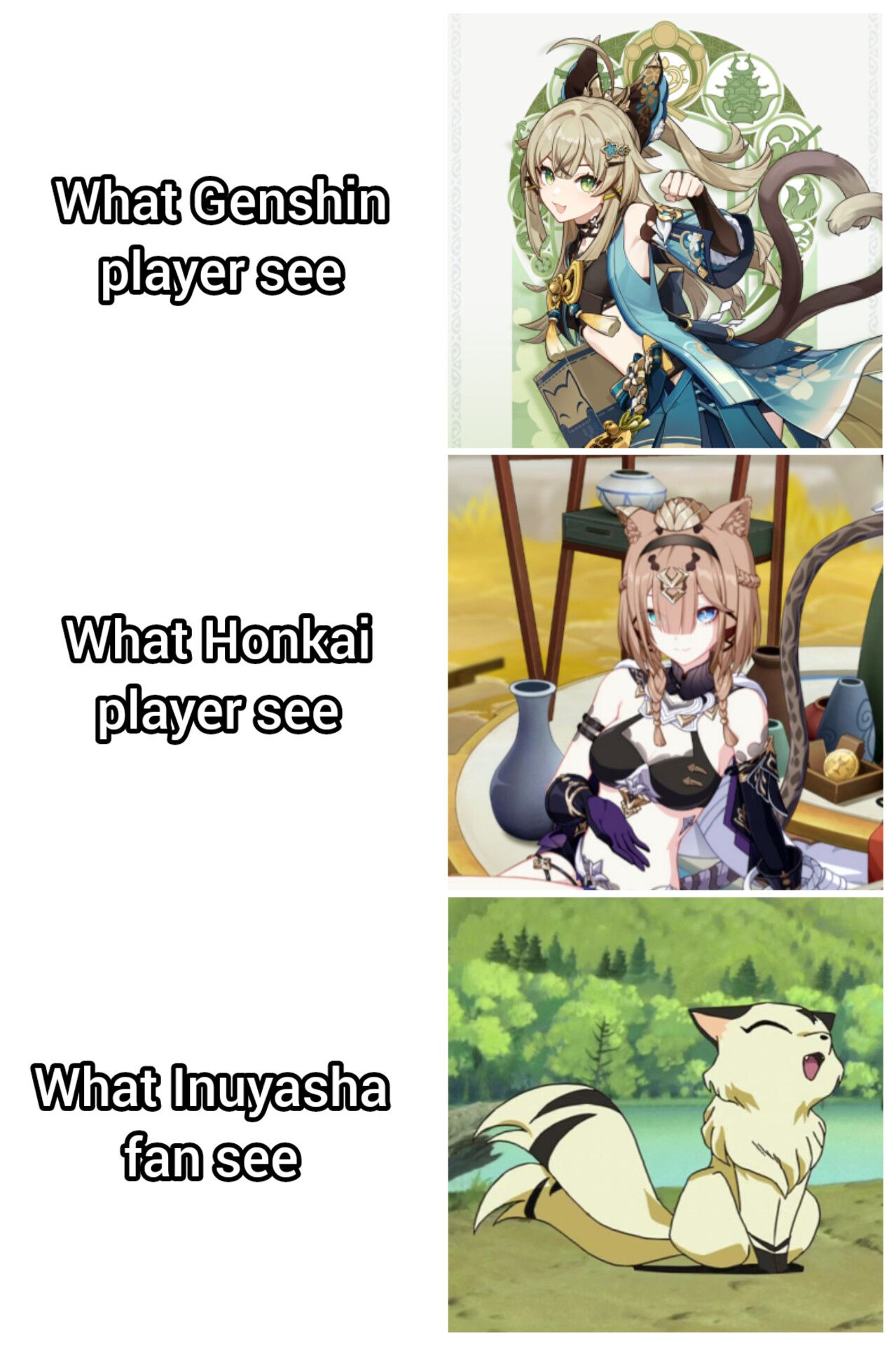 Kirara from Inuyasha is Genshin'd! Genshin Impact | HoYoLAB