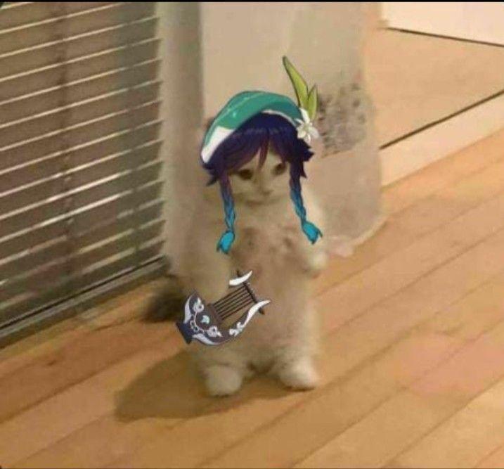 No thoughts, just Venti the Cat Genshin Impact | HoYoLAB