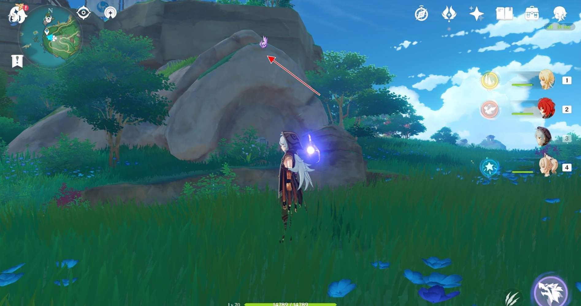 Electroculus Collection Guide (IV/VII) - Yashiori Island (Totally 27 ...