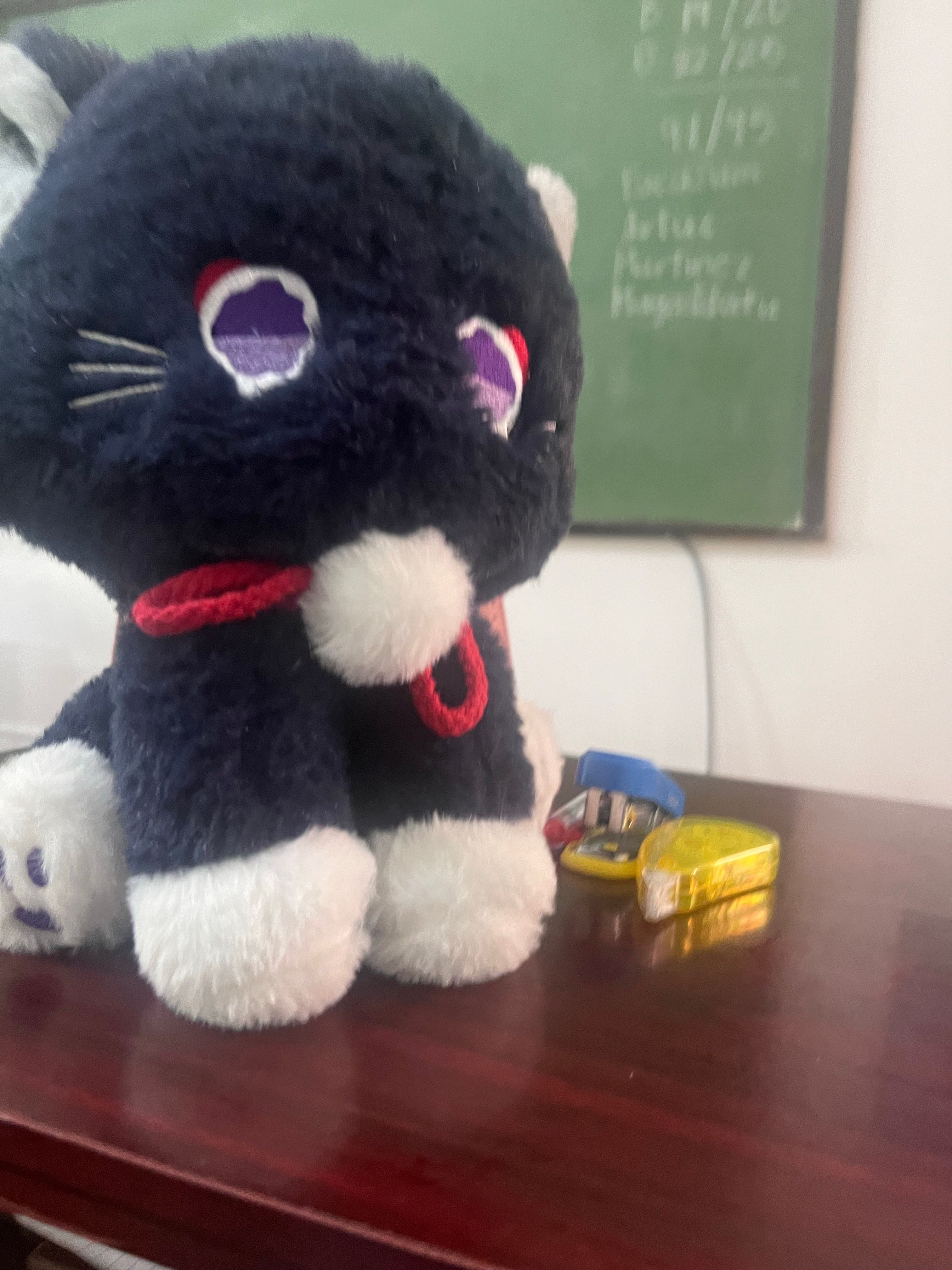 Taking meow to school Genshin Impact | HoYoLAB