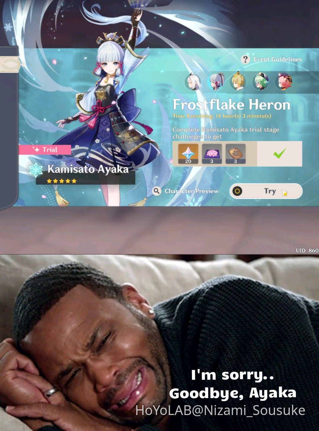 Goodbye, Ayaka Genshin Impact | HoYoLAB