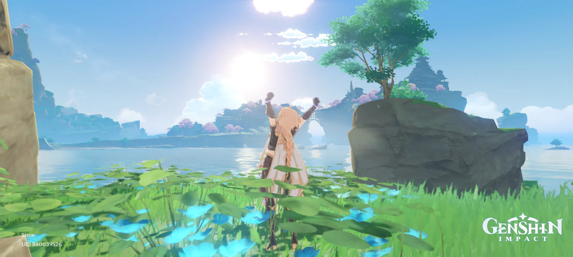 Daily post #3 - Aether & Inazuma Sky Genshin Impact | HoYoLAB