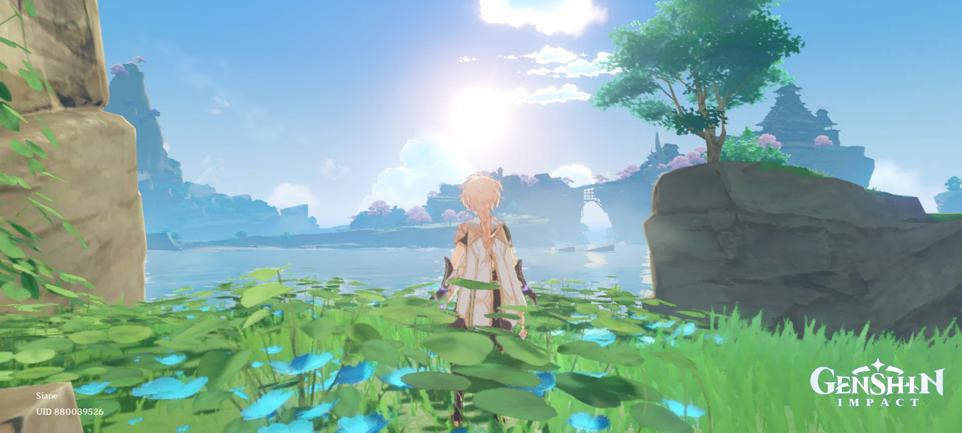 Daily post #3 - Aether & Inazuma Sky Genshin Impact | HoYoLAB